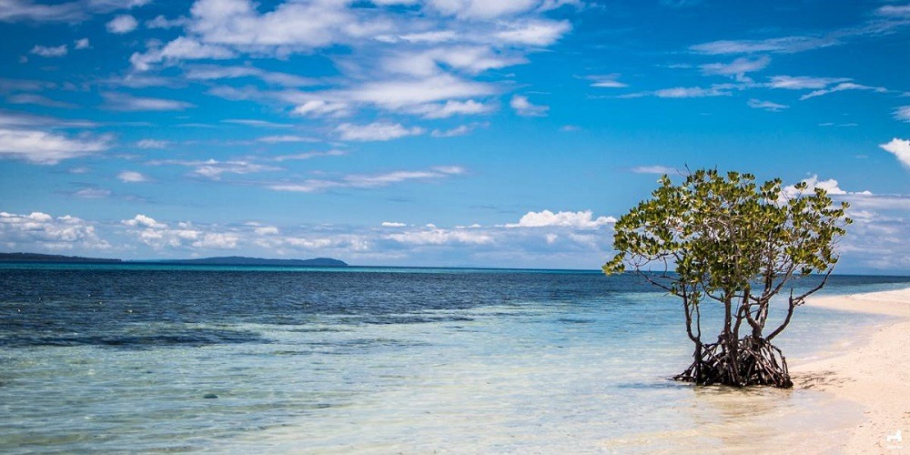 Alibijaban Island and Burias Island: DIY Guide + 2 Days Itinerary ...