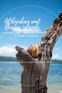 Alibijaban Island and Burias Island: DIY Guide + 2 Days Itinerary ...