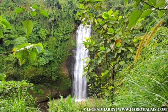 37+ BEST Waterfalls in the Philippines - Tara Lets Anywhere
