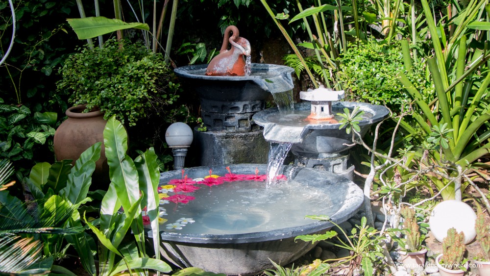 Relaxing Day Tour at Luljetta's Hanging Gardens and Spa - Tara Lets ...