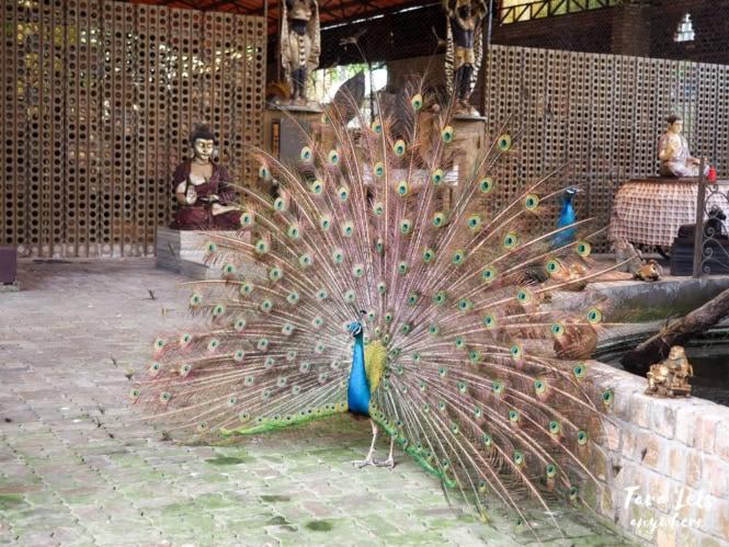 Yoki's Farm: Family-Friendly Farm Experience in Tagaytay - Tara Lets ...
