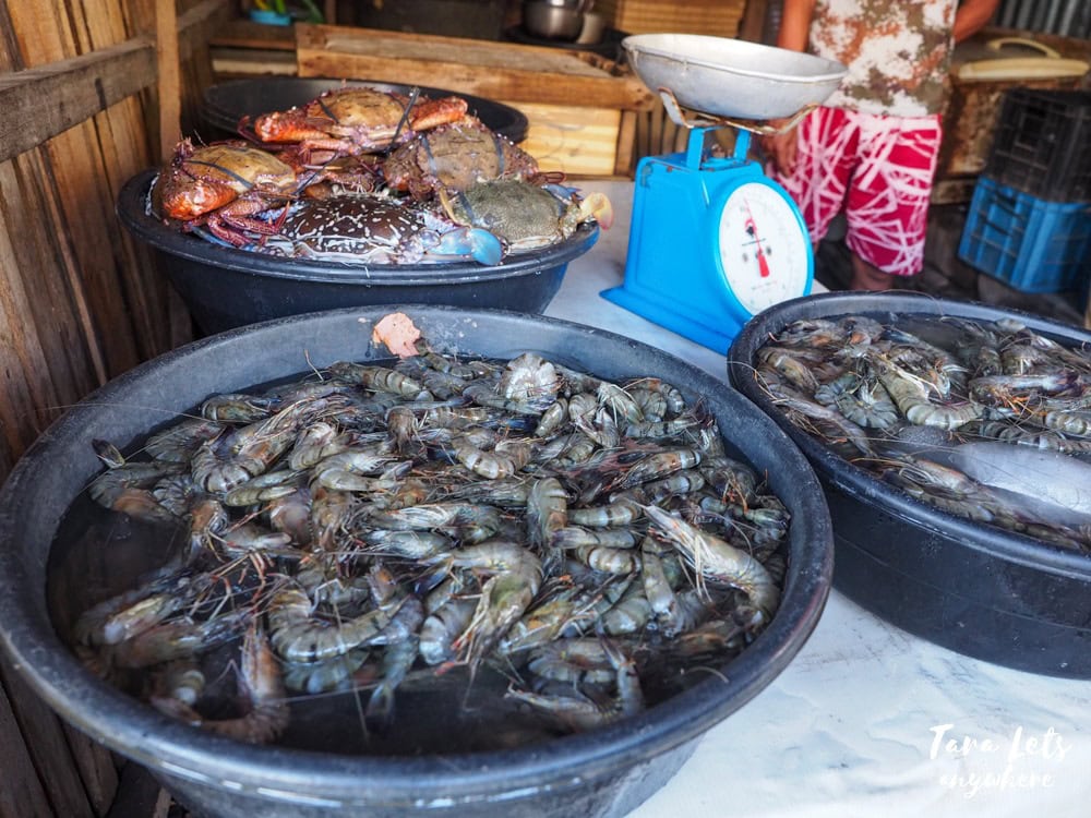Day Trip to Basilan: Malamawi Island and Lampinigan Island - Tara Lets ...
