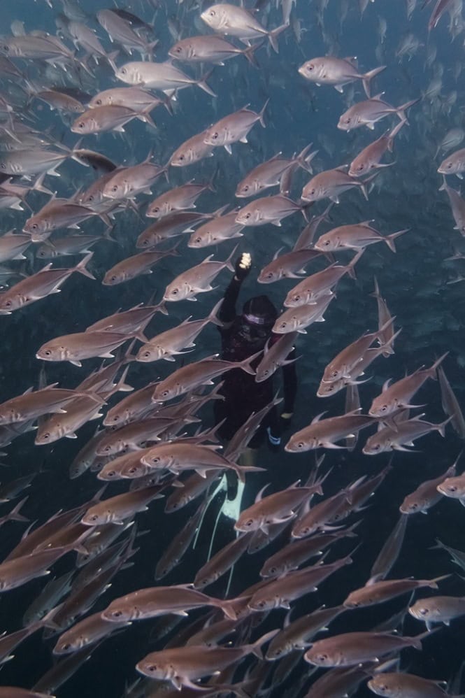 25+ BEST Snorkeling Spots in Southeast Asia - Tara Lets Anywhere