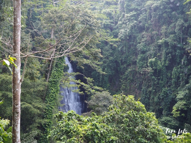 3 AMAZING Waterfalls of Iligan: Tinago Falls, Mimbalot Falls, and Ma ...