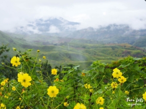 Landingan Viewpoint: Quirino's Most Scenic Spot - Tara Lets Anywhere