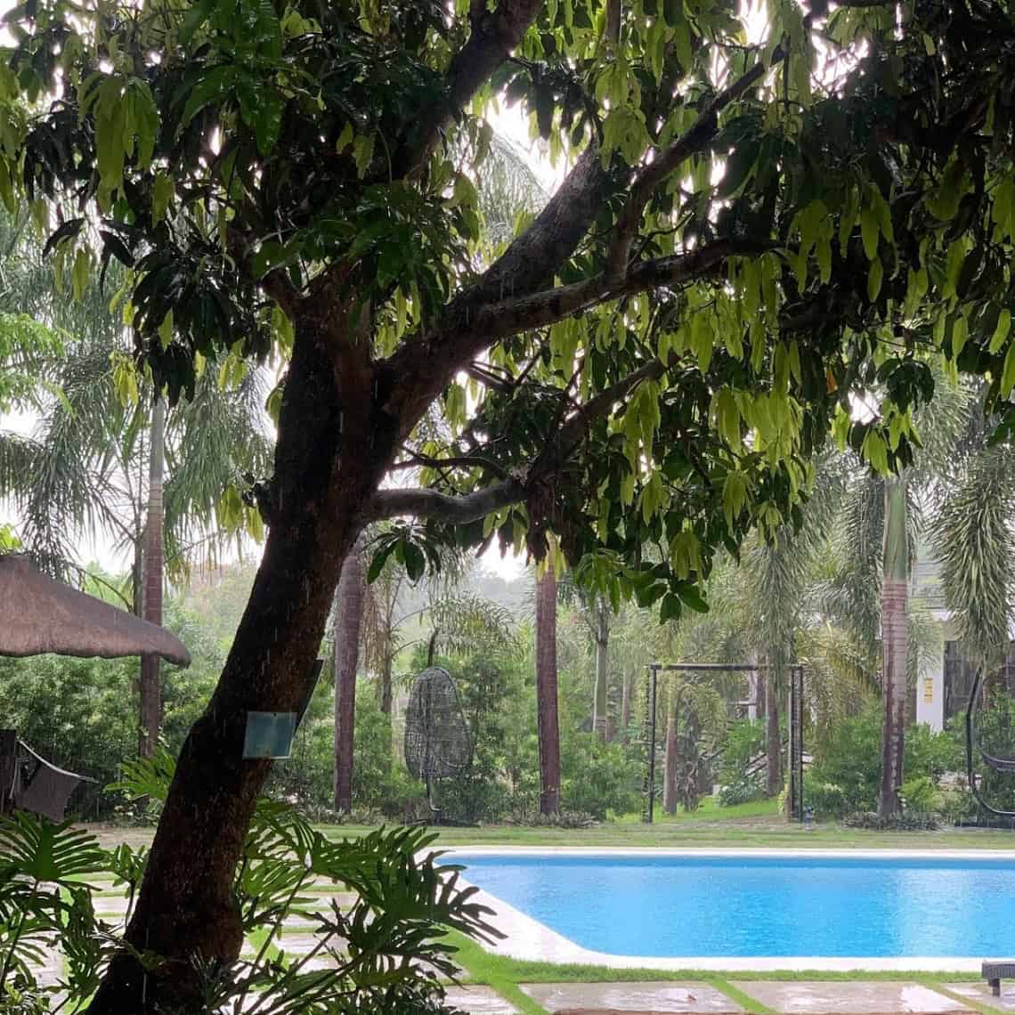 10 BEST Tarlac Resorts and Hotels (City, Nature, Exclusive Staycations ...