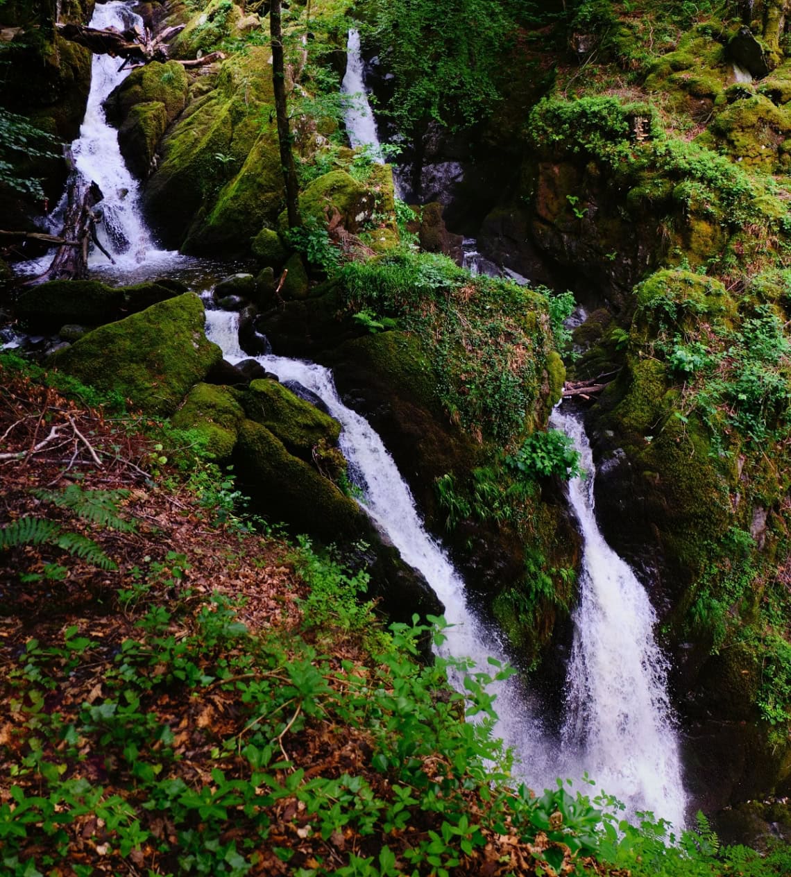 Enchanting Escapes: 15 Best Waterfalls in England - Tara Lets Anywhere