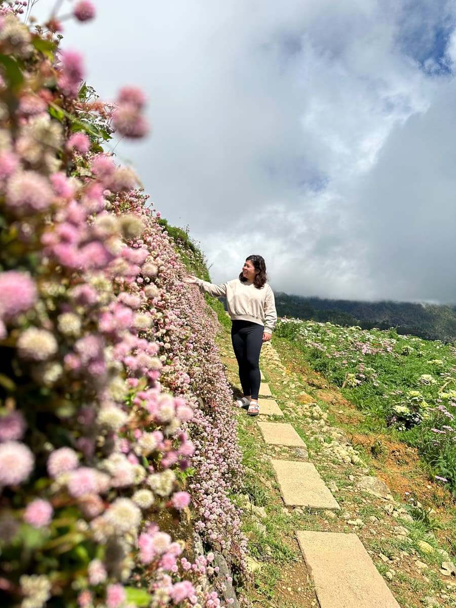 Northern Blossom Flower Farm: A Blooming Paradise in Atok, Benguet ...