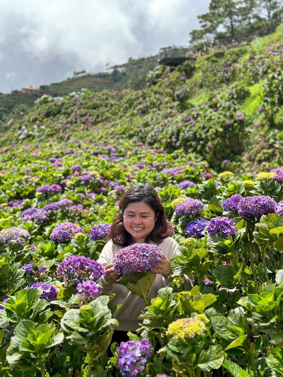 Northern Blossom Flower Farm: A Blooming Paradise in Atok, Benguet ...