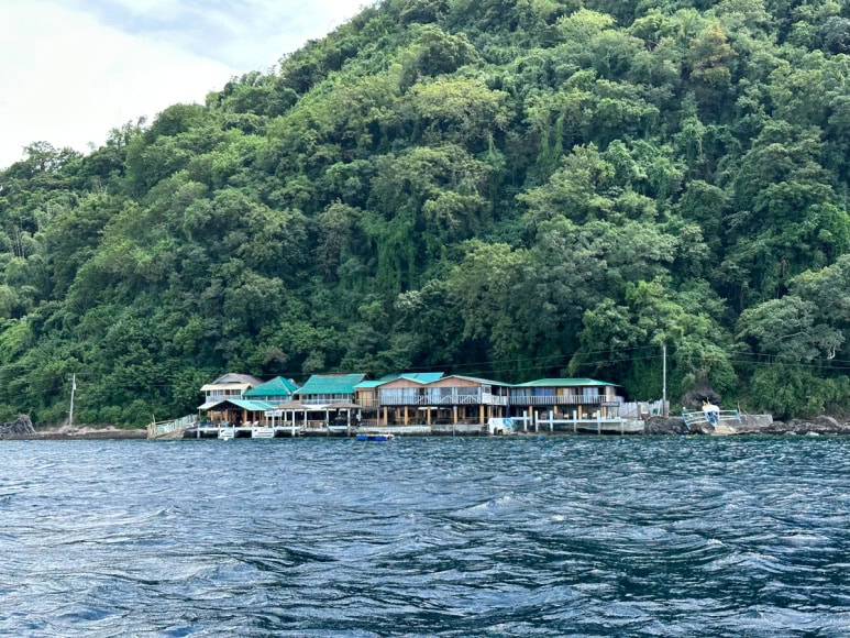 Summer Cruise Diving Resort: Snorkeling and Freediving Haven in ...